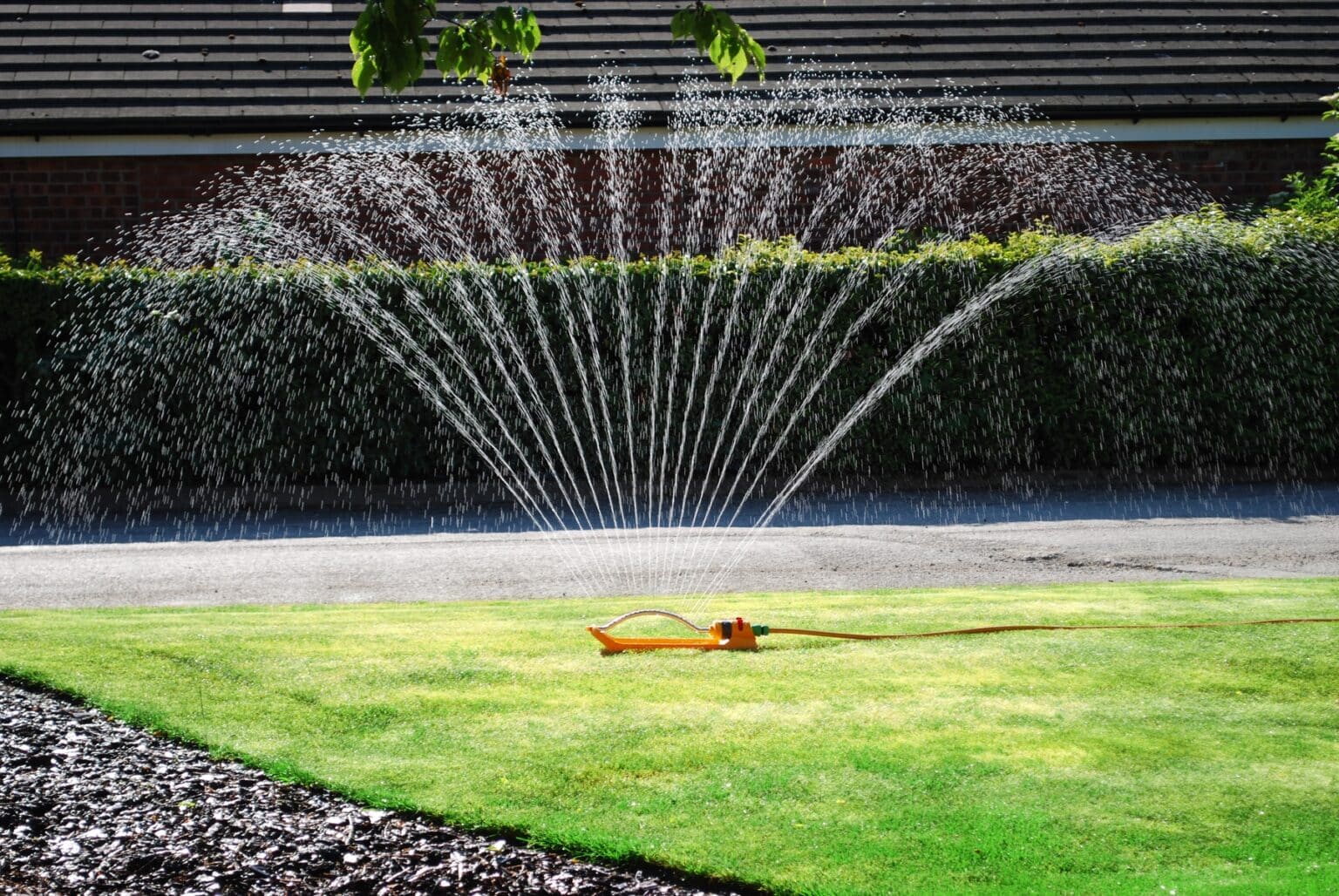 Seasonal Lawn Maintenance Calendar