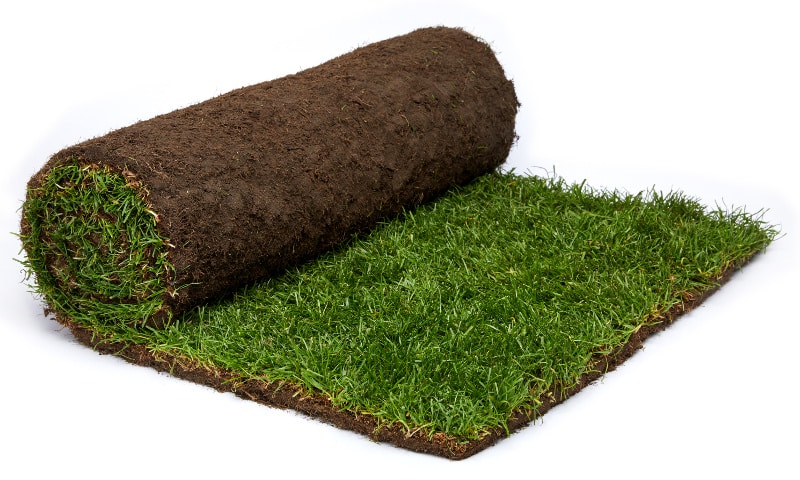 Buy The Best Lawn Turf Rolls Online | Free Delivery | Rolawn Turf