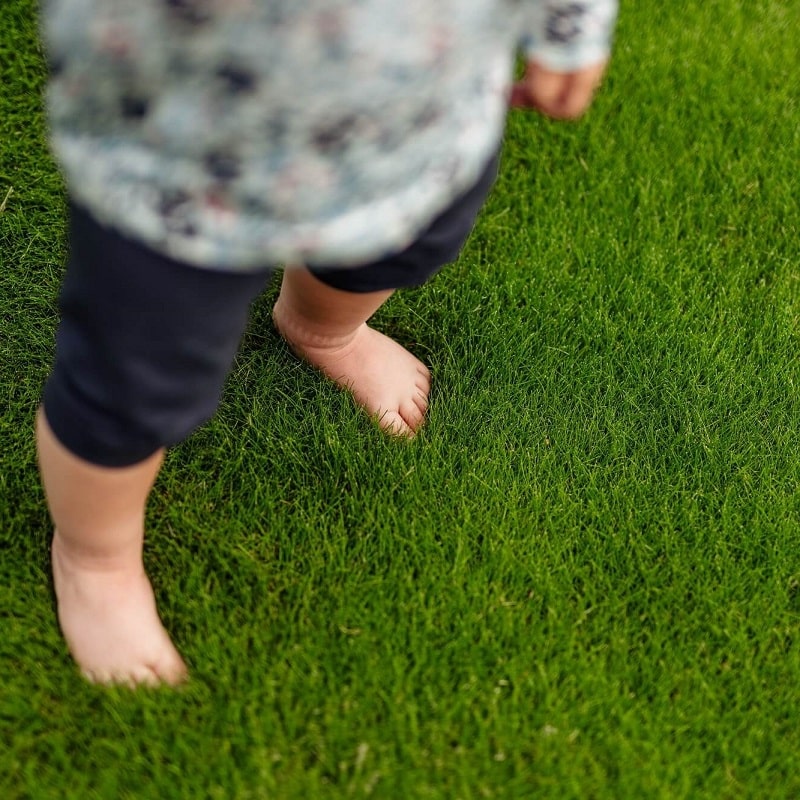 Turf | Buy Turf Online | Rolawn Award Winning Quality Turf