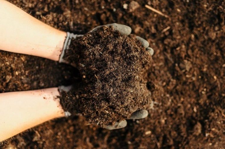 Learn How To Lay Turf | Preparation, Tools & Laying | Rolawn