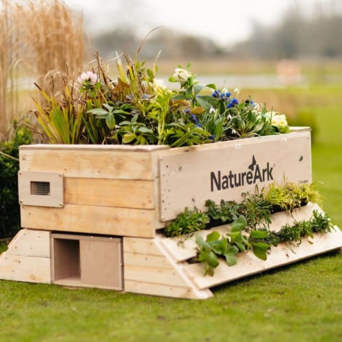 BioScapes Group | Biodiversity and SuDS Solutions